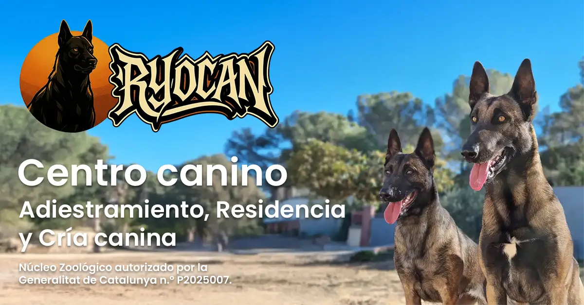 Centro Canino en Barcelona - Adiestramiento y Residencia